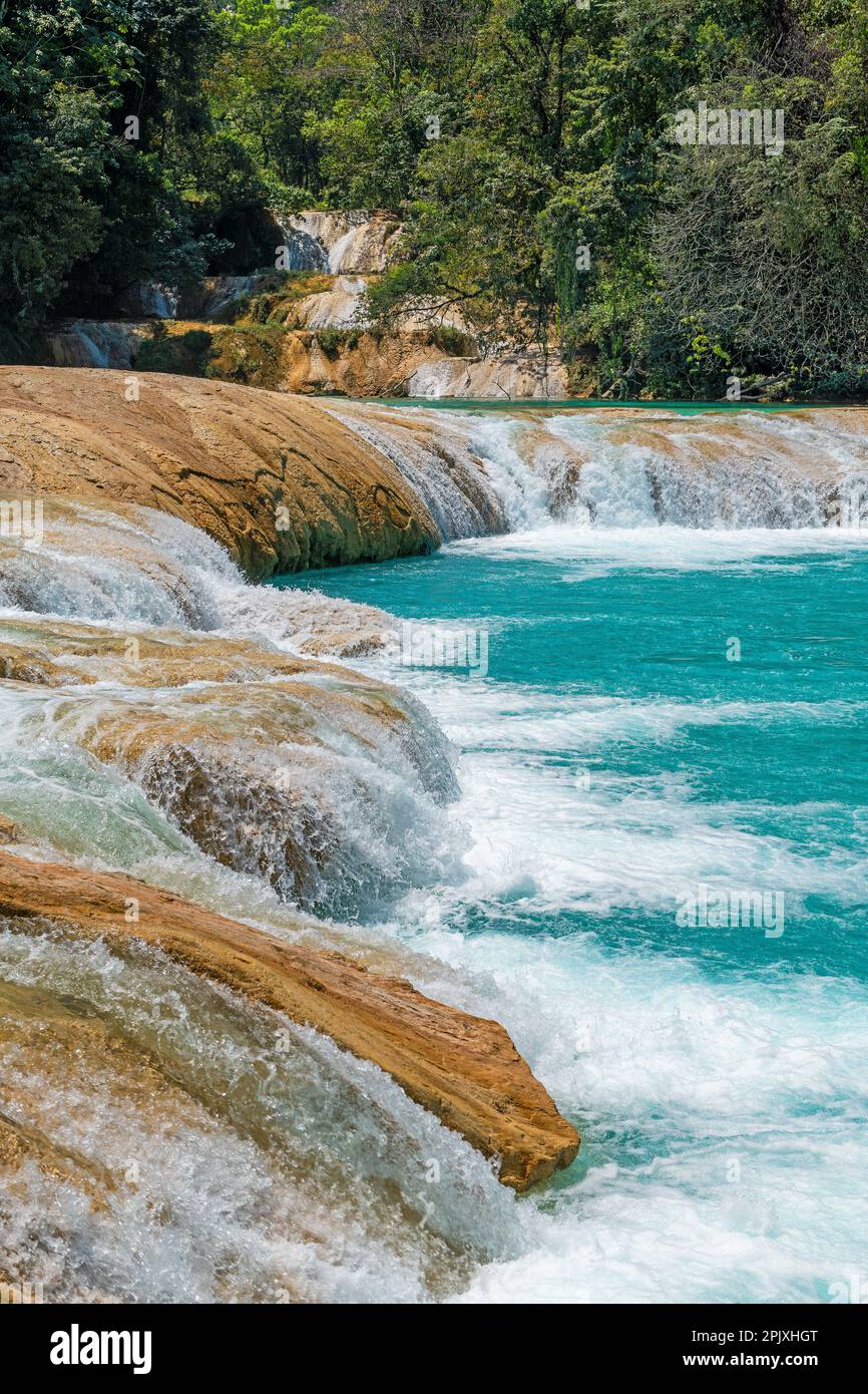 Agua Azul cascades in vertical format, Chiapas rainforest, Mexico Stock ...