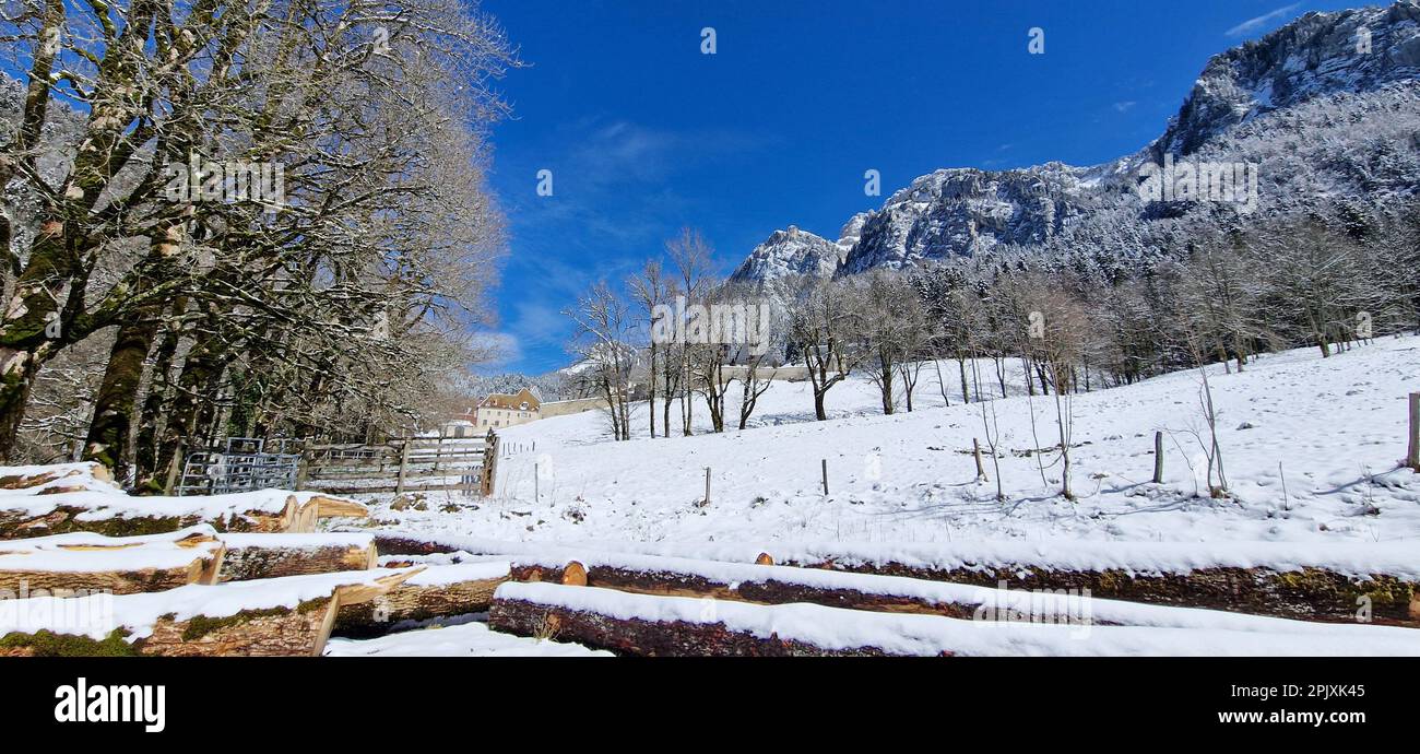 Foret de la grande chartreuse hi-res stock photography and images - Alamy