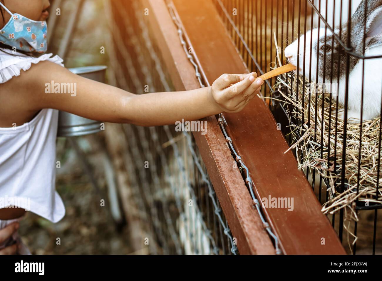 Adorable little girl feeding rabbit at farm. Kid feeding and petting ...