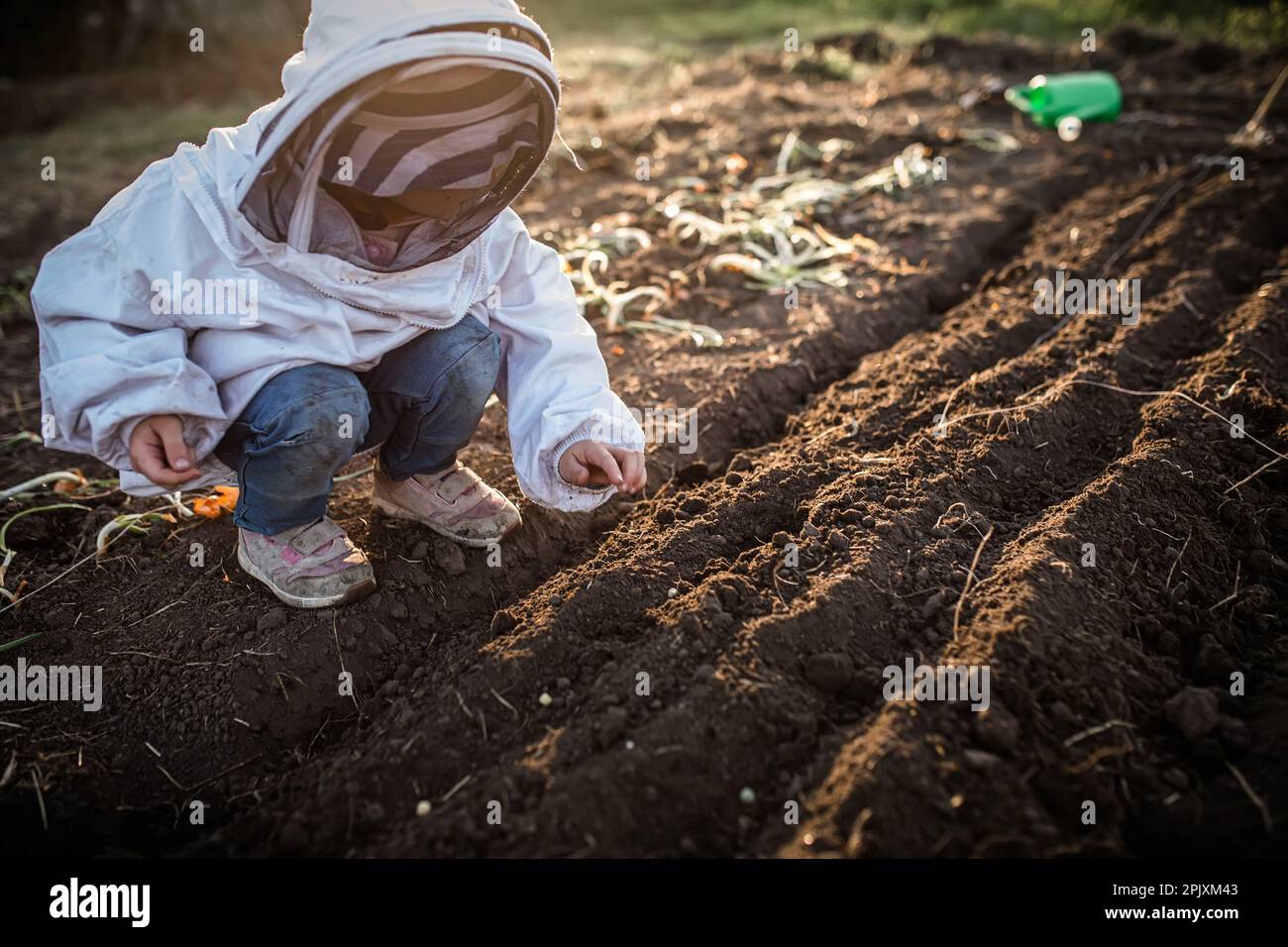 Beauty of nature and joys of gardening. child nurtures growth of fresh ...