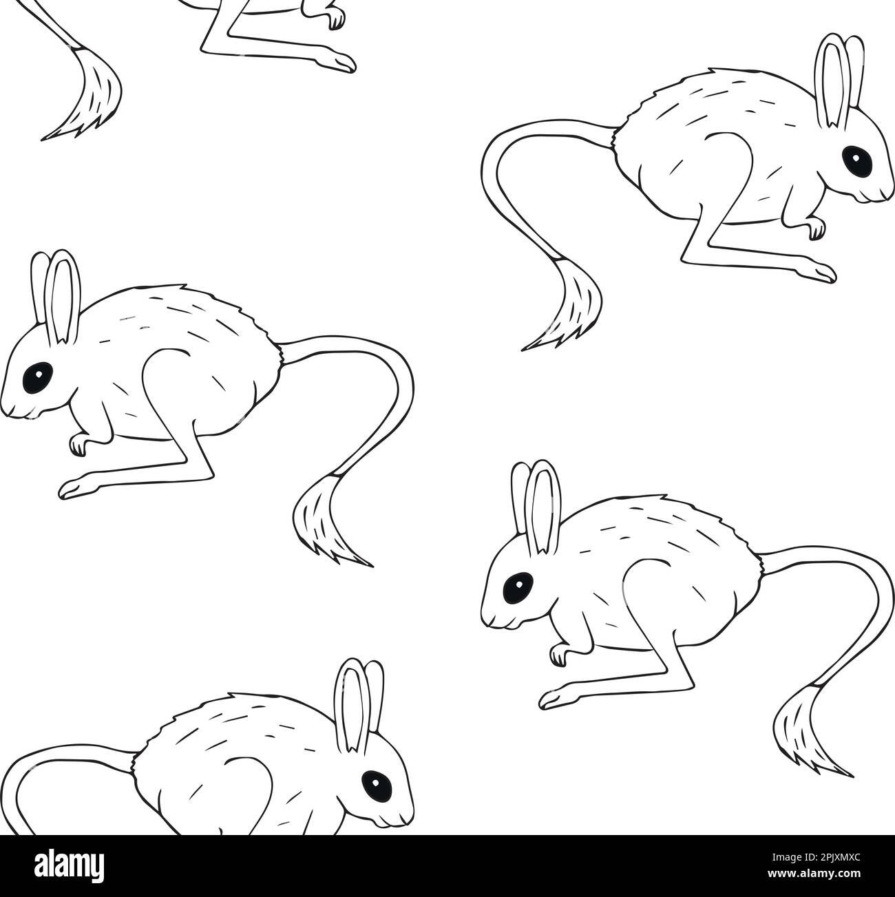 Jerboa baby Black and White Stock Photos & Images - Alamy