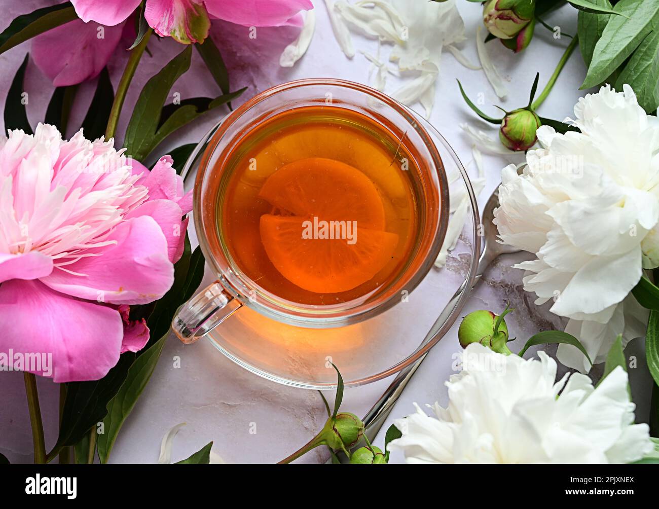 Piones hi-res stock photography and images - Alamy