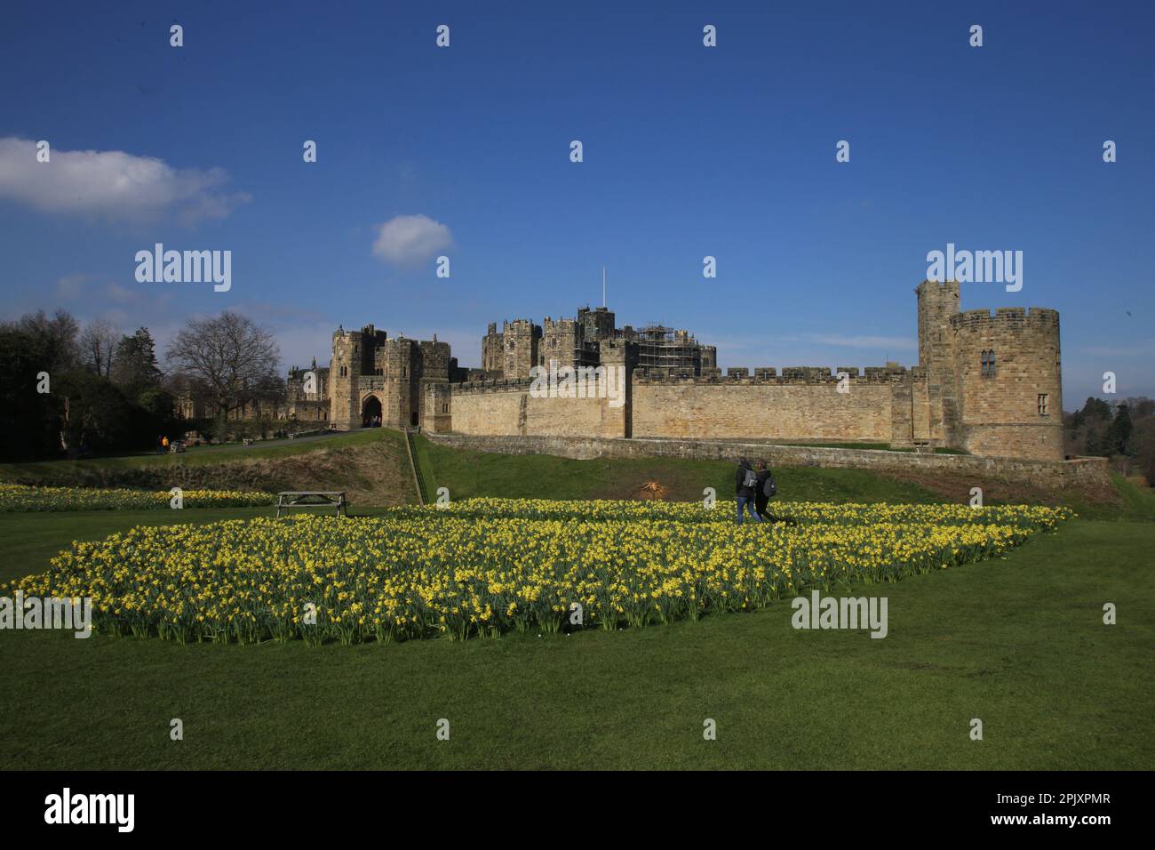 Star trek ridley scotts robin hood hi-res stock photography and images ...