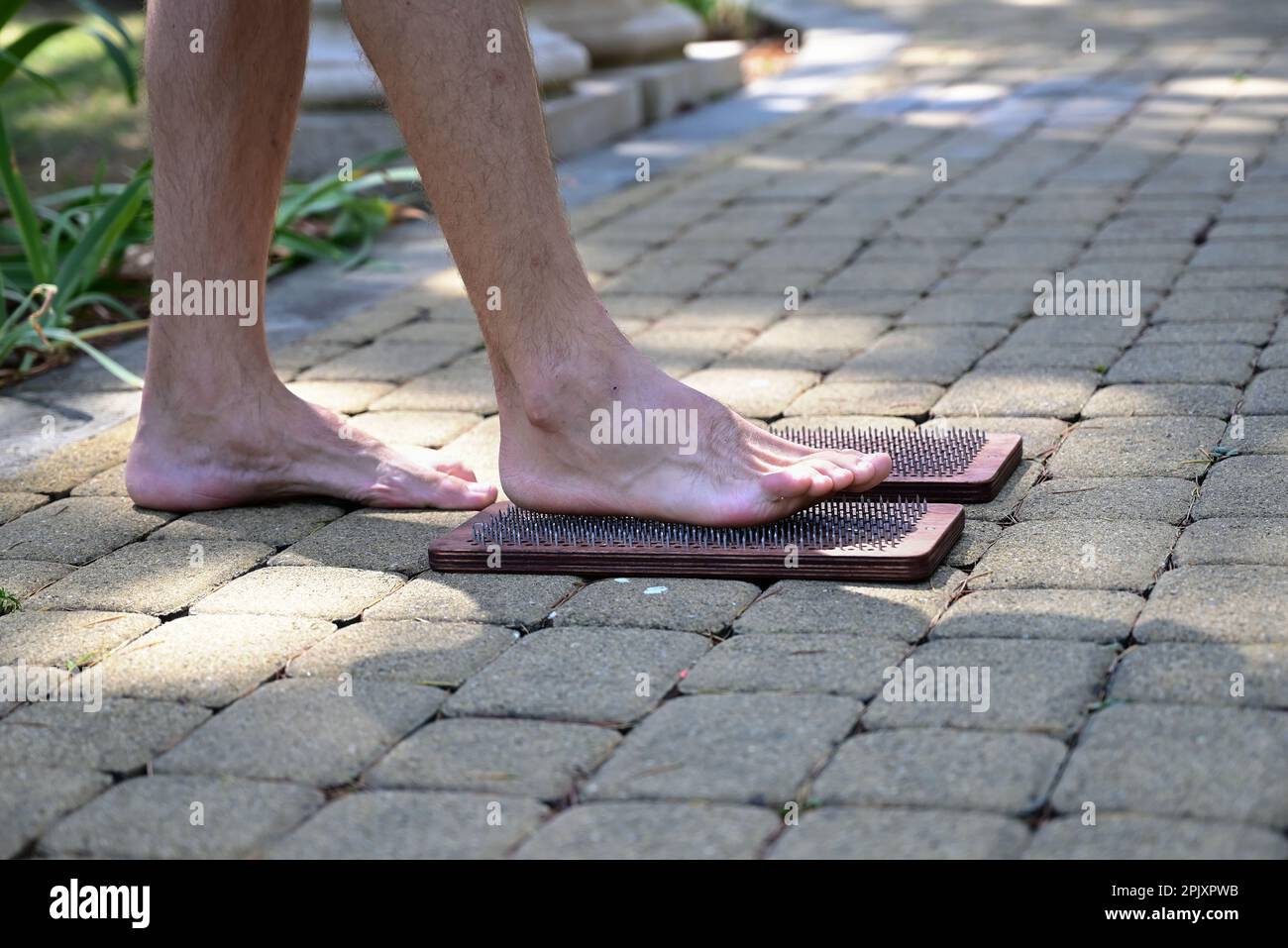 Alternative medicine and Mindfulness practice, needle standing ...