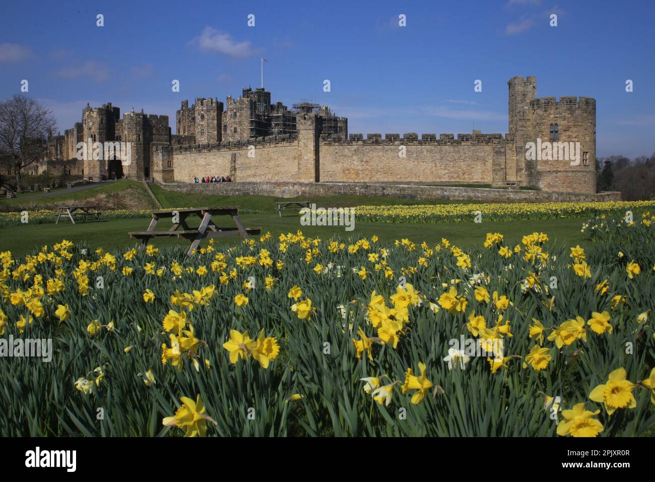 Blackadder robin hood prince of thieves hi-res stock photography and ...