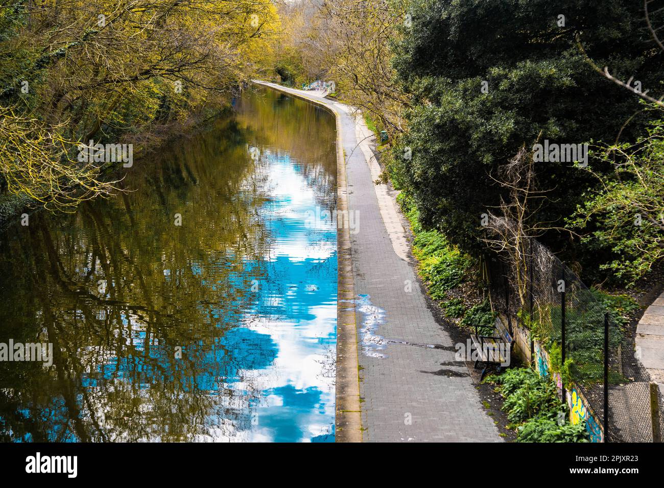 A scenic pathway lined with lush green trees and a tranquil river ...