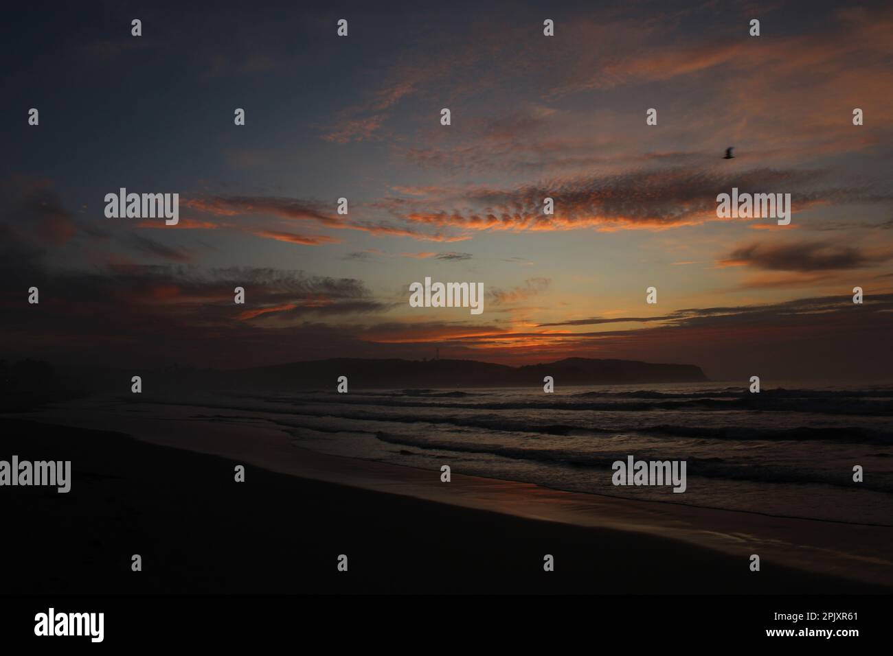 Flight of the Bird, getting creative with little under exposure Stock ...