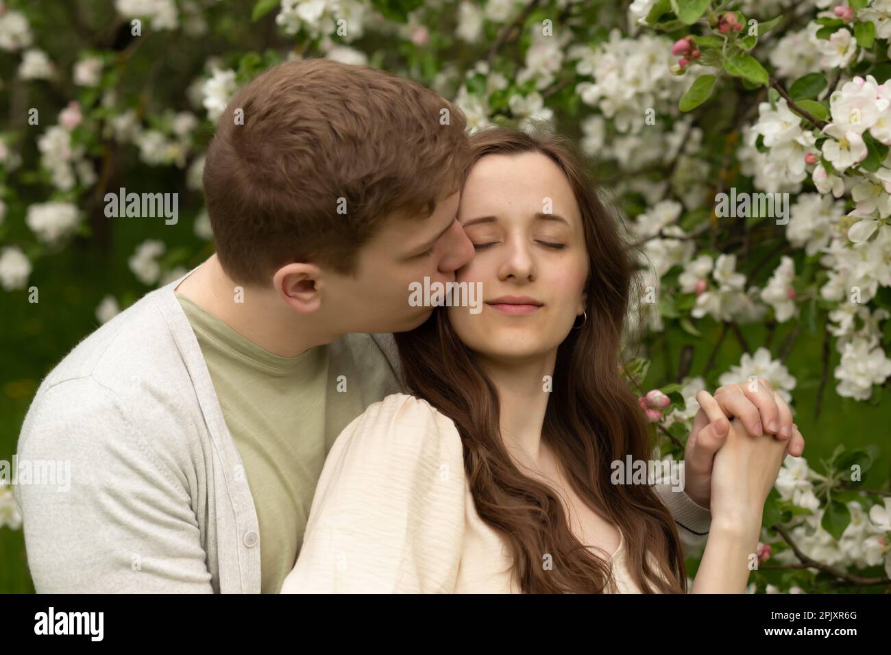 beautiful pregnant woman walks in a blooming garden. husband hugging and kisses pregnant wife ...