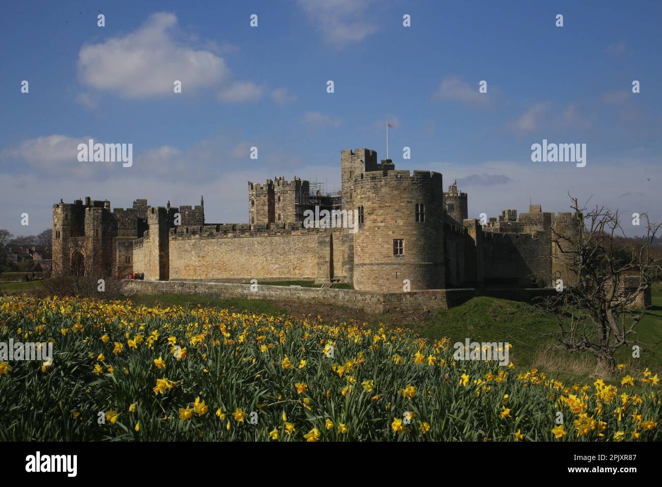 Blackadder robin hood prince of thieves hi-res stock photography and ...