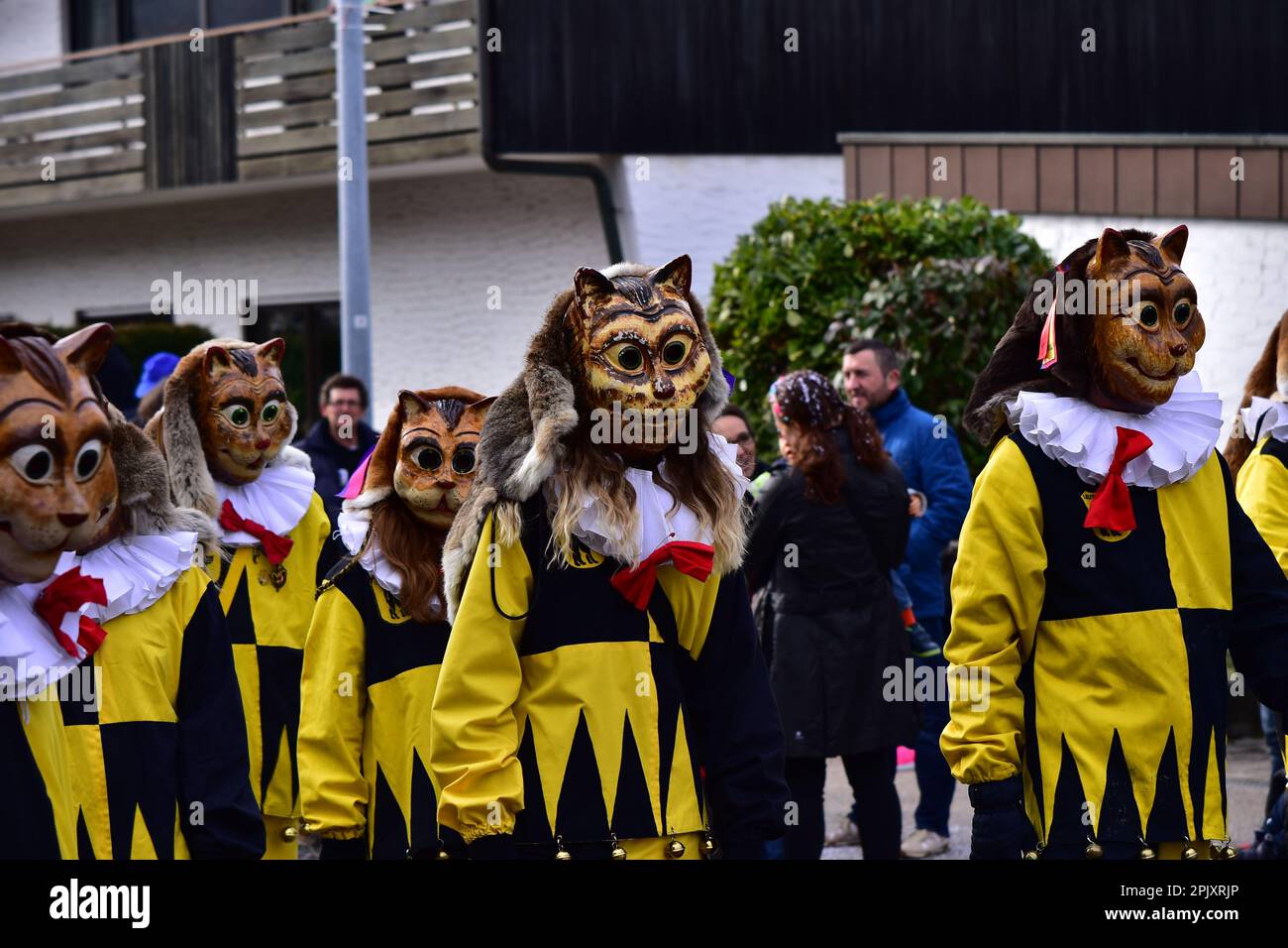 A diverse group of people wearing colorful animal masks during a ...