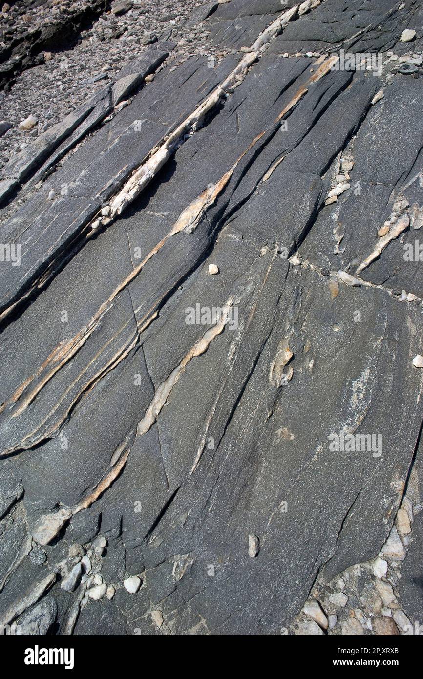 Scogliere di scisto a Capo Falcone. Stintino (SS), Sardegna. Italia ...