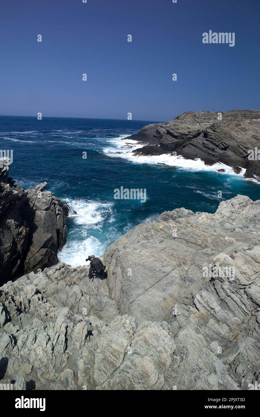 Scogliere di scisto a Capo Falcone. Stintino (SS), Sardegna. Italia ...