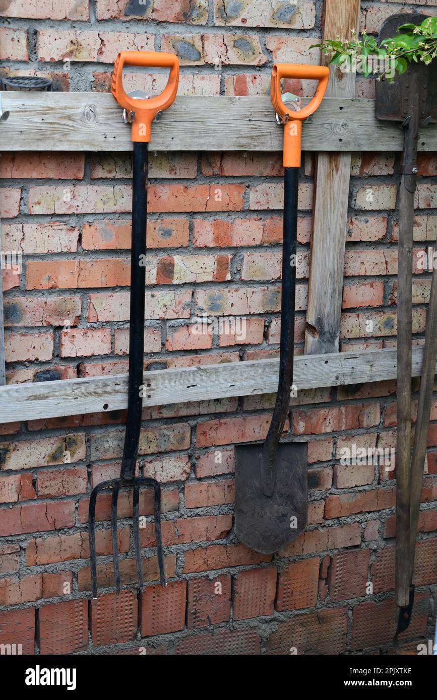 farm tool pitchfork and two shovels against old wooden wall use as ...