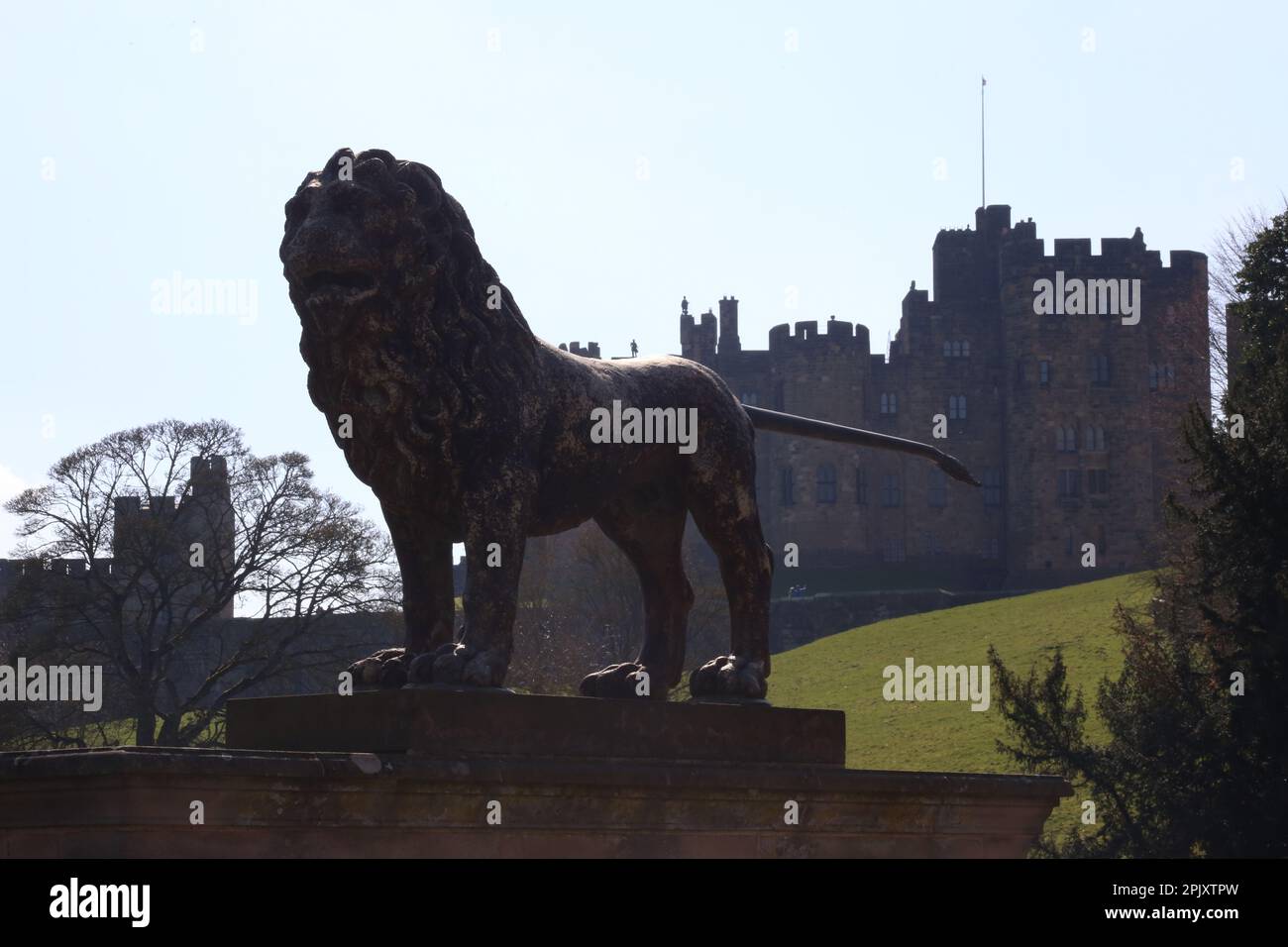 Robin becket hi-res stock photography and images - Alamy