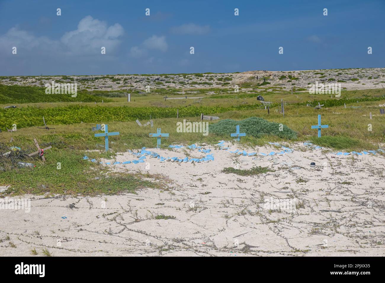 Pet Cemetery Beach is a surreal location on the island of Aruba where ...