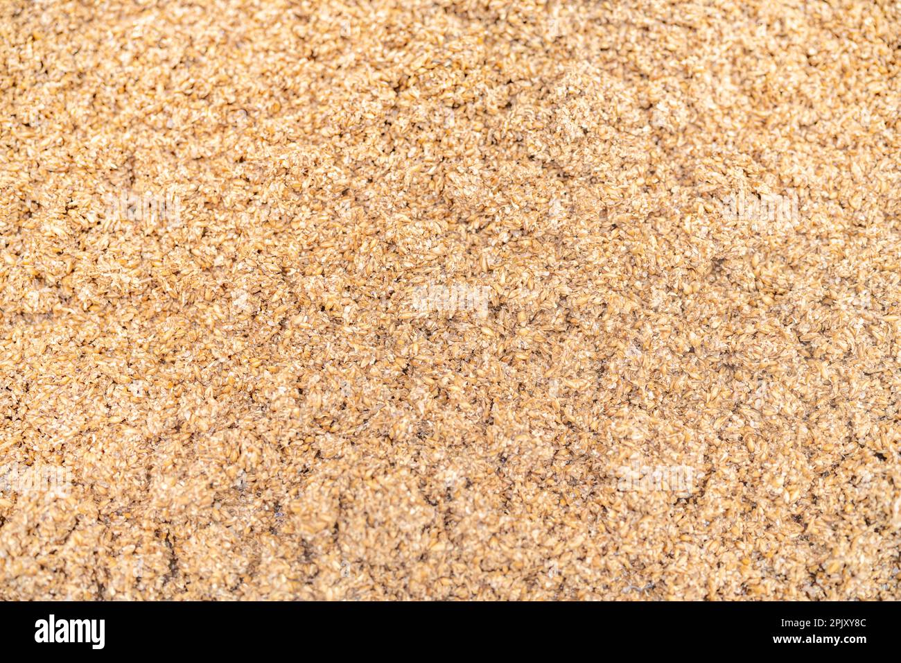 malt for brewing beer in a brewery. background with texture Stock Photo ...