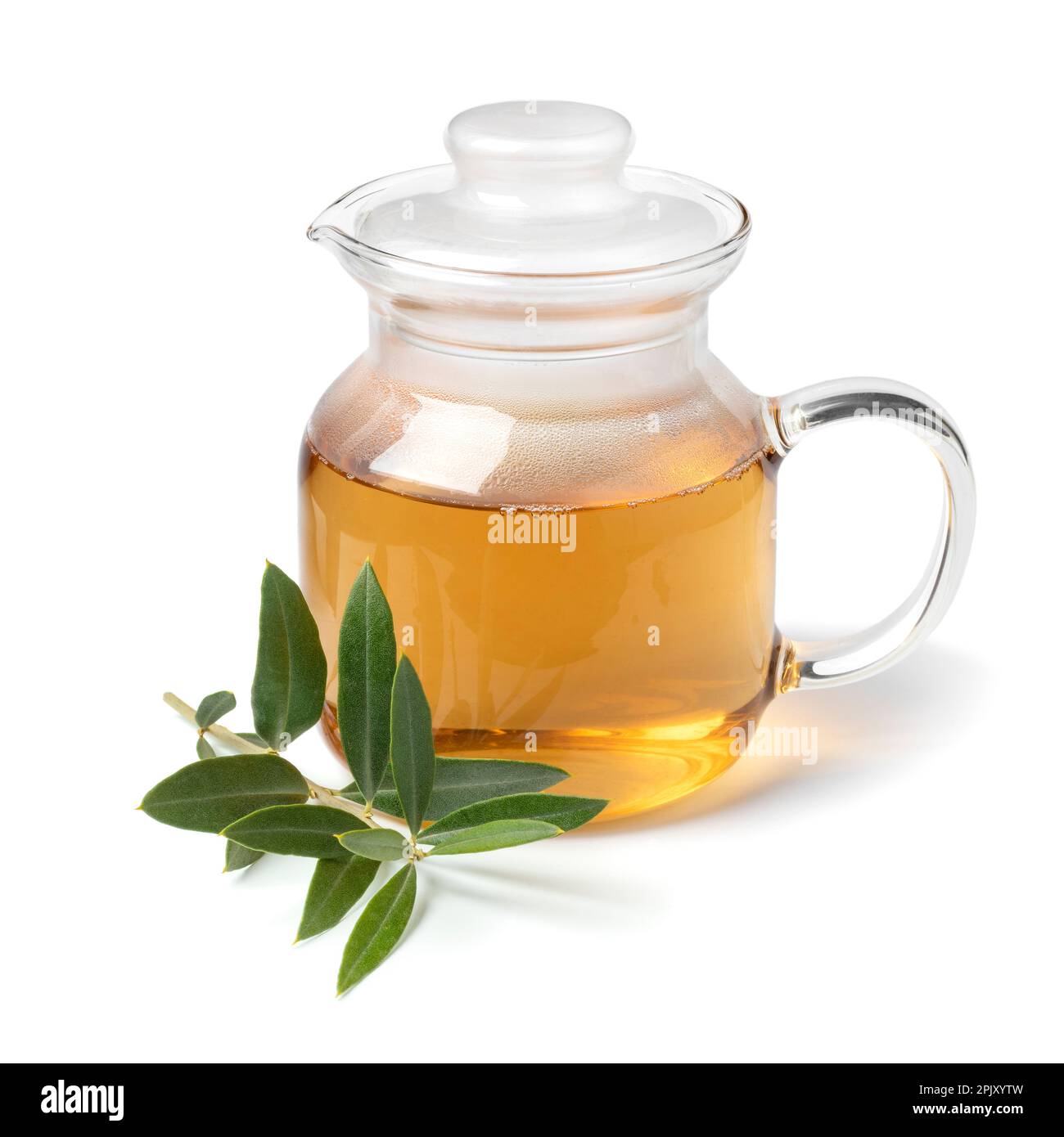 Glass tea pot with dried olive leaves tea and a fresh twig of olive ...