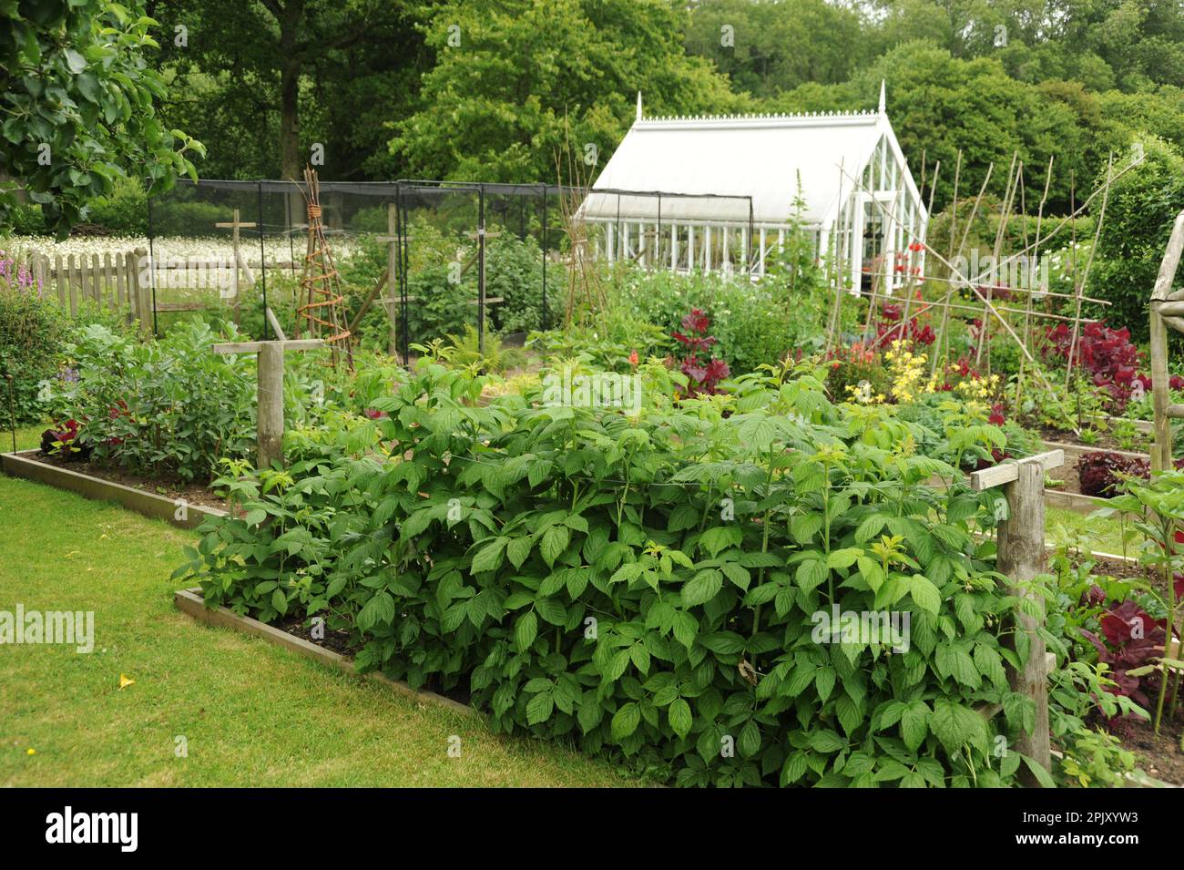 photograph of a greenhouse in a typical english garden Stock Photo - Alamy