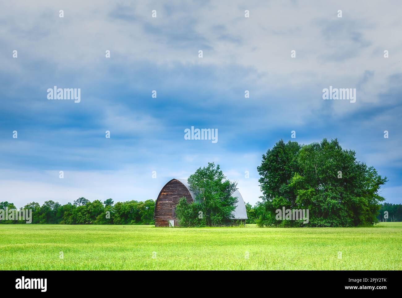 A large old barn among trees in a green field in a summer prairie ...