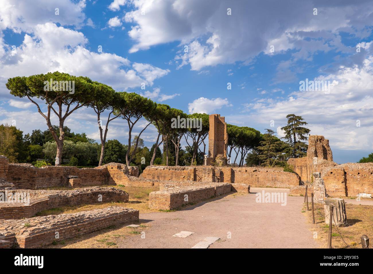 Ancient Roman ruins and line of stone pines on the Palatine Hill in ...