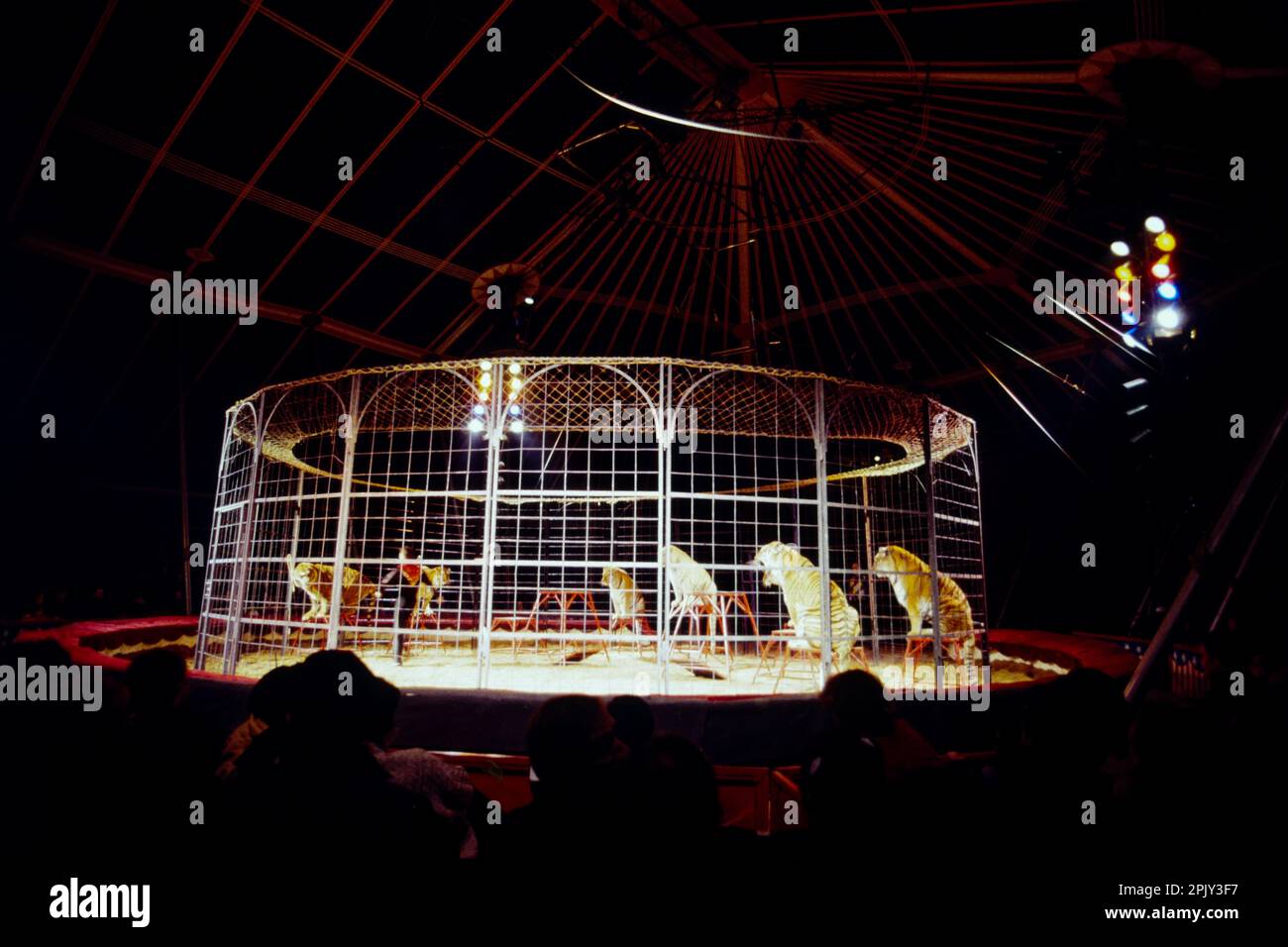 Archives 90ies: First Biennal of the Circus, Lyon, France, 1995 Stock ...