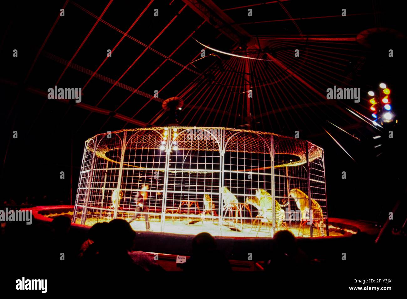 Archives 90ies: First Biennal of the Circus, Lyon, France, 1995 Stock ...