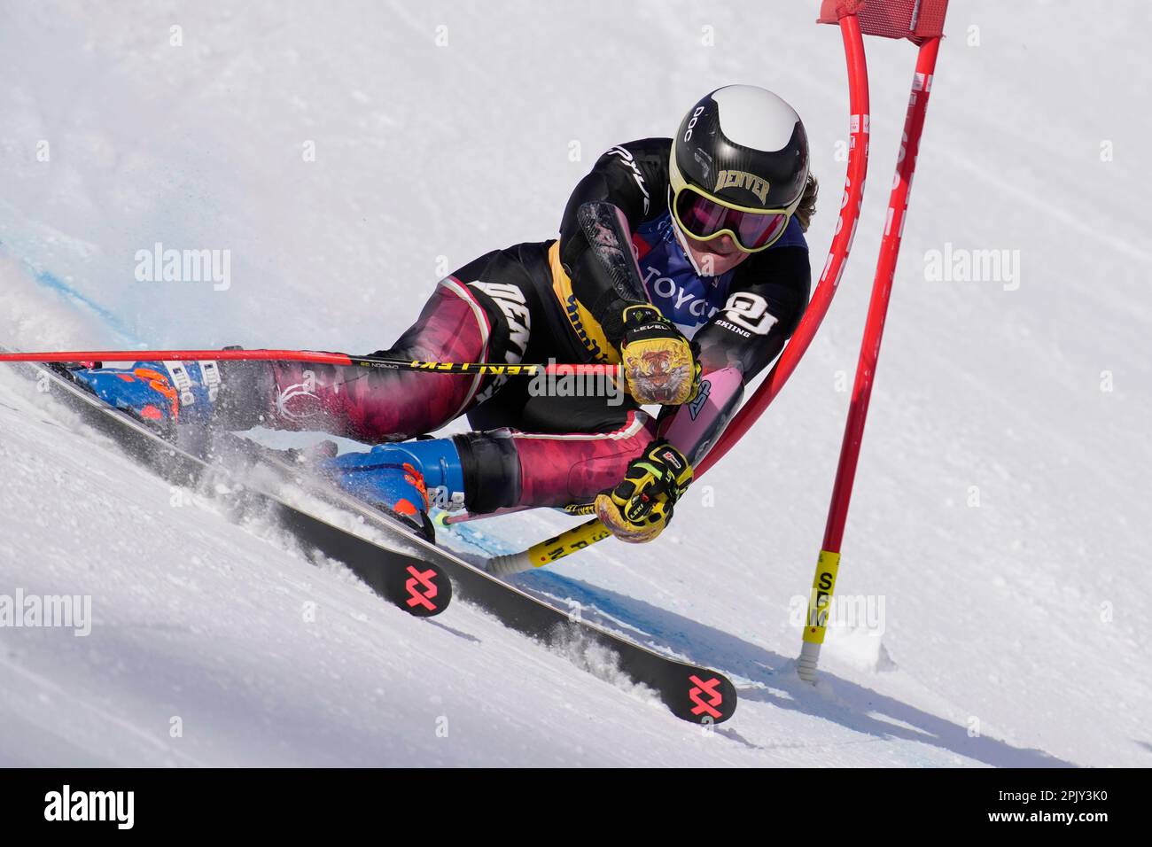 Galena Wardle competes in the women's giant slalom ski race during the ...