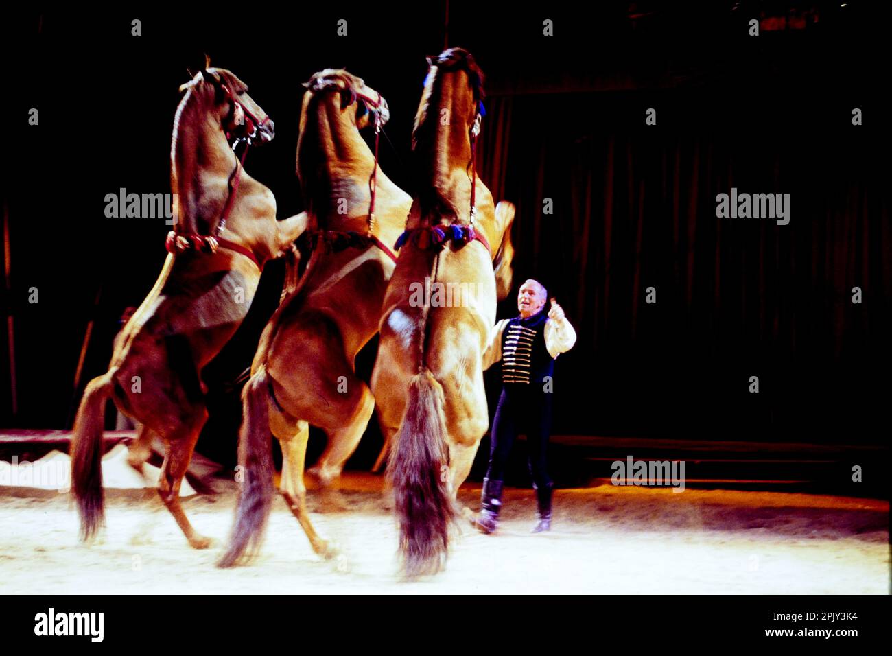 Archives 90ies: First Biennal of the Circus, Lyon, France, 1995 Stock ...