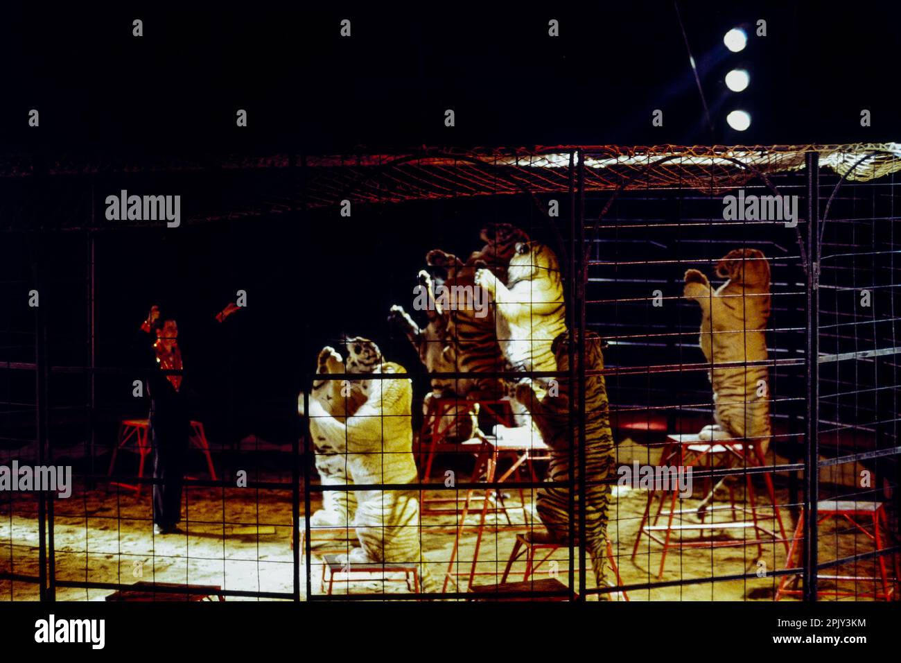 Archives 90ies: First Biennal of the Circus, Lyon, France, 1995 Stock ...