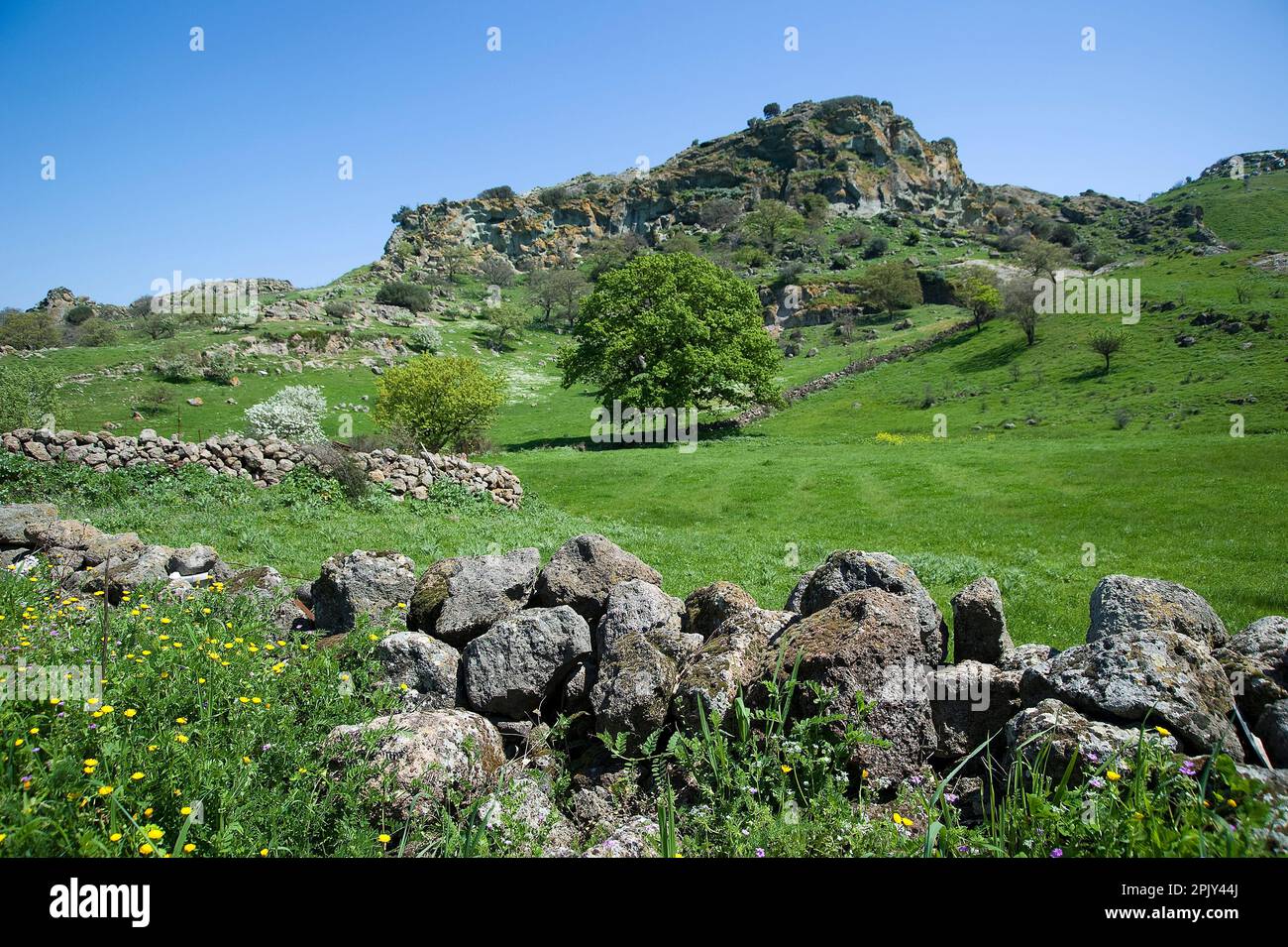 Valle dei vulcani. Logudoro meilogu. Bonorva. SS, Sardegna. Italy Stock ...