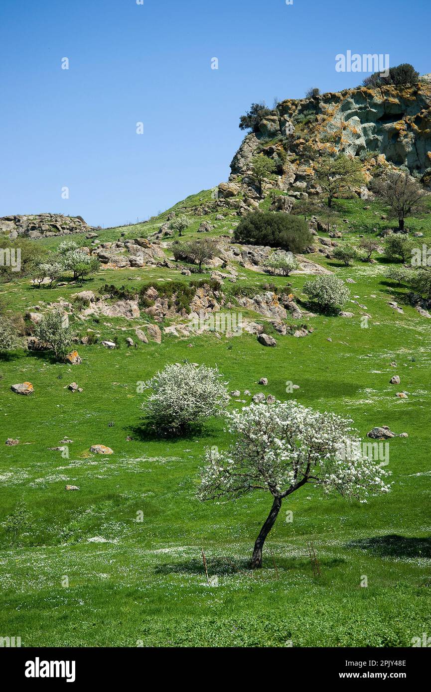 Valle dei vulcani. Logudoro meilogu. Bonorva. SS, Sardegna. Italy Stock ...