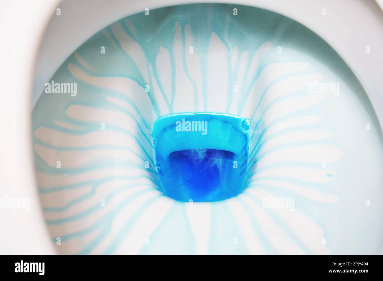 Closeup view of toilet bowl during cleaning with blue detergent ...