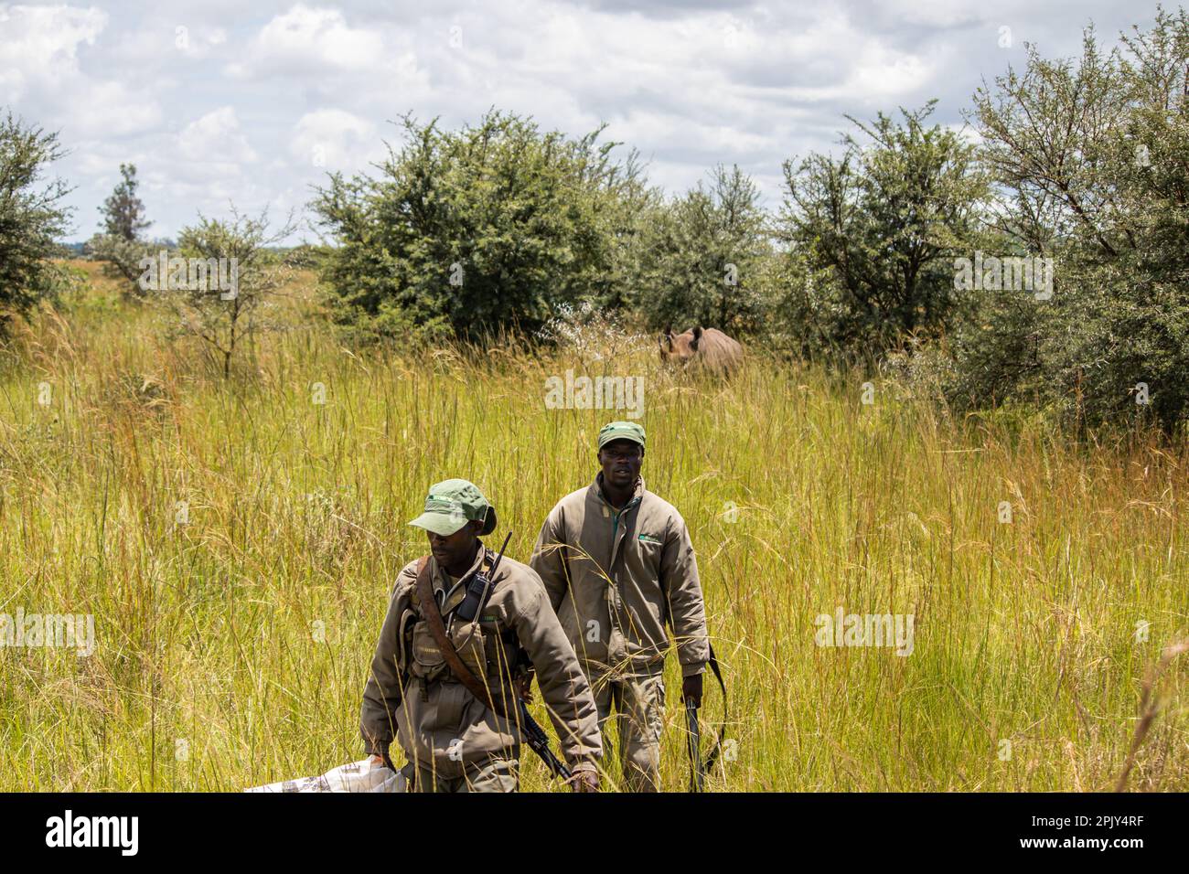 Rangers armed with guns in animal conservation park in Zimbabwe, in ...