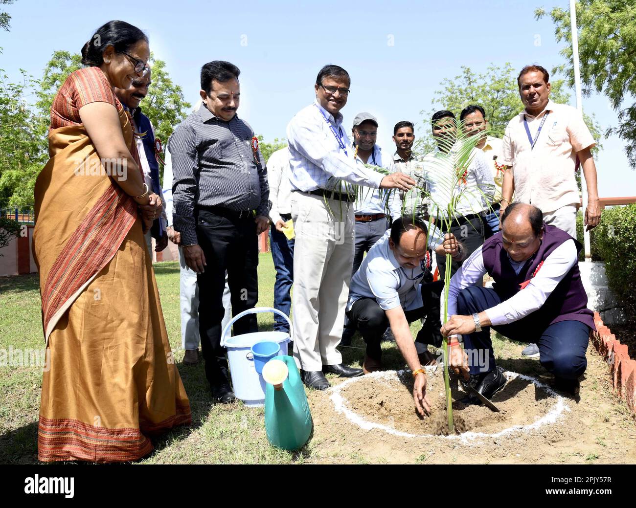50th golden jubilee foundation hi-res stock photography and images - Alamy