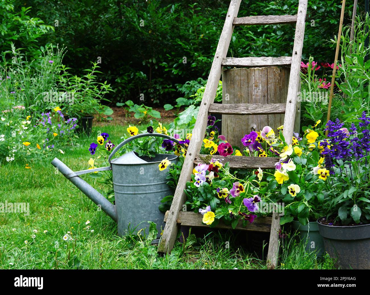 Wild herb and field flowers with iron watering can. English cottage ...