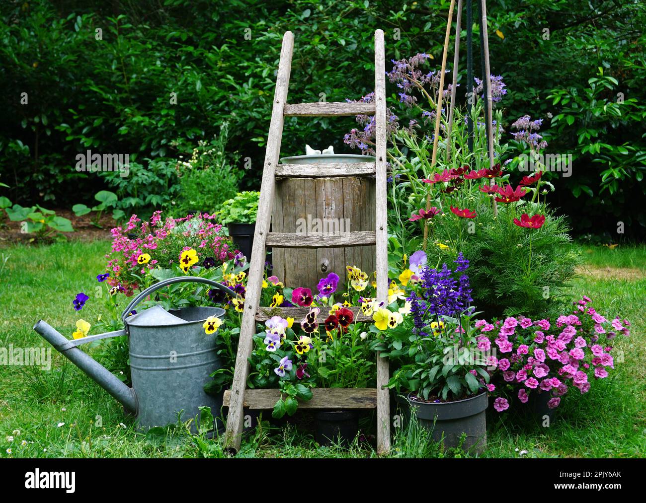 Flowers good for butterflies hi-res stock photography and images - Alamy
