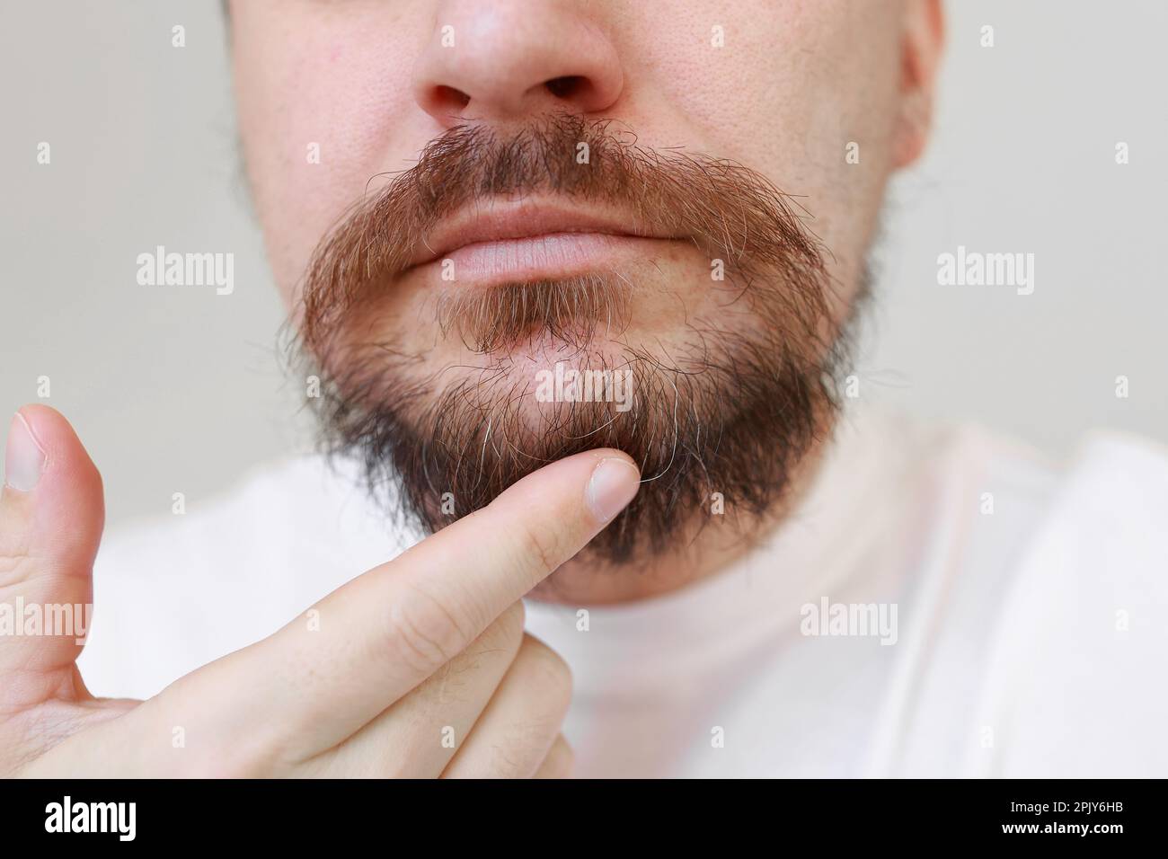 Cropped photo of bearded man shows first gray hairs on overgrown shaggy ...