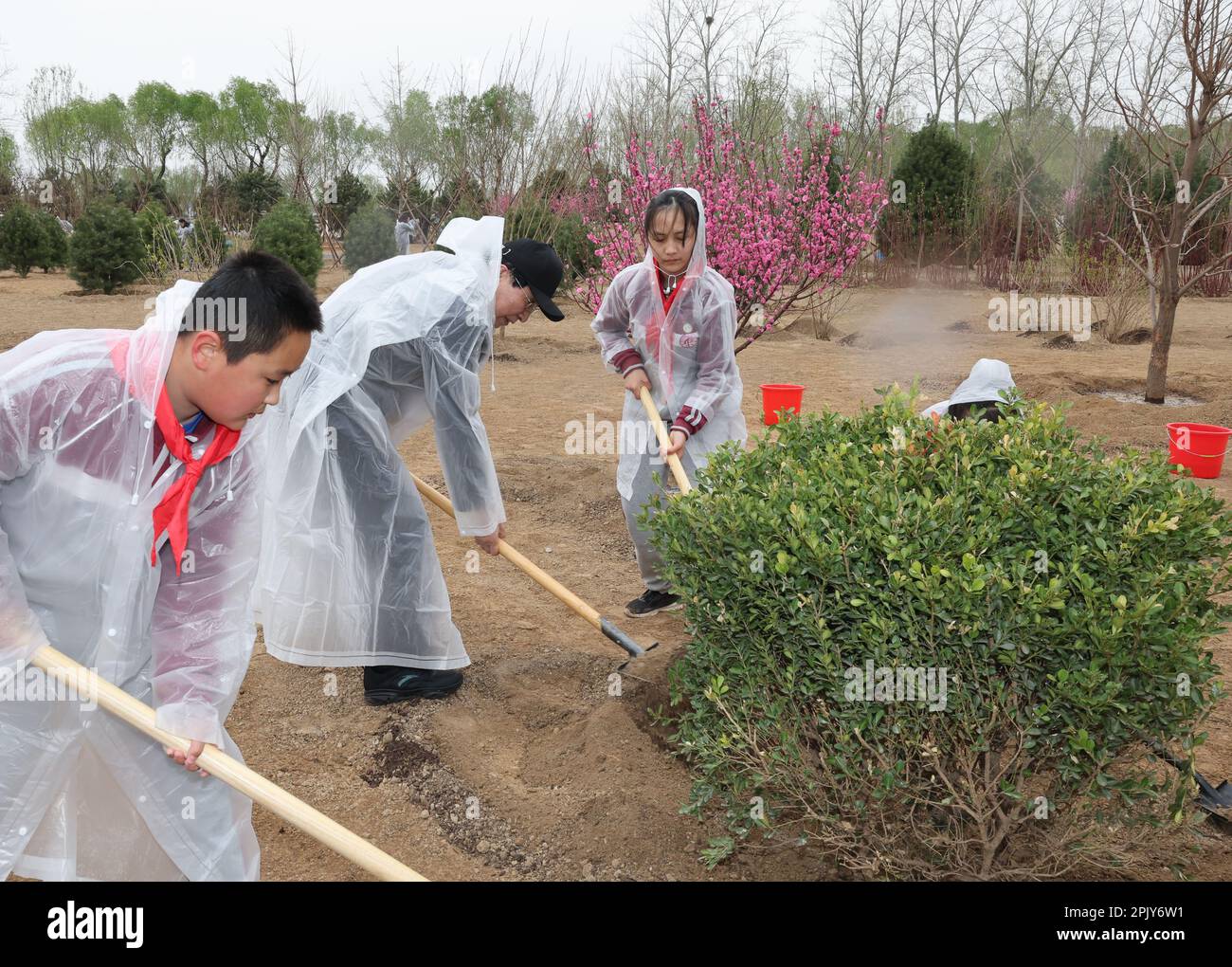 Beijing, China. 4th Apr, 2023. Wang Huning plants a tree during a ...