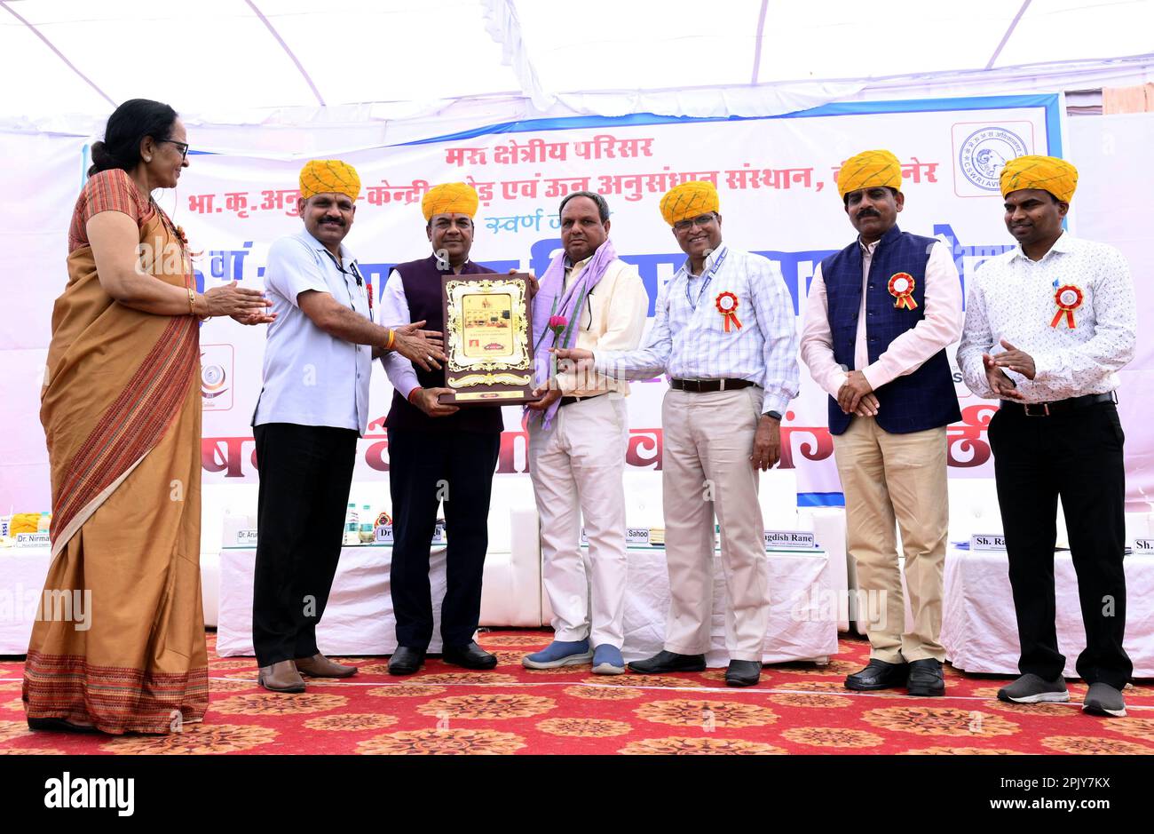 50th golden jubilee foundation hi-res stock photography and images - Alamy