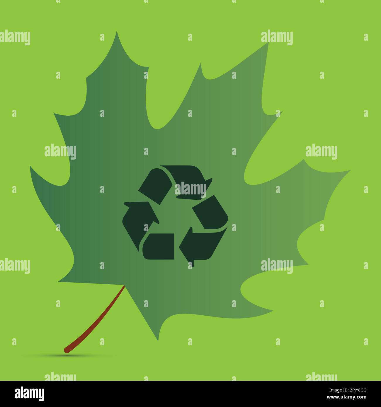 Maple leaf with recycle symbol on it Stock Vector Image & Art - Alamy
