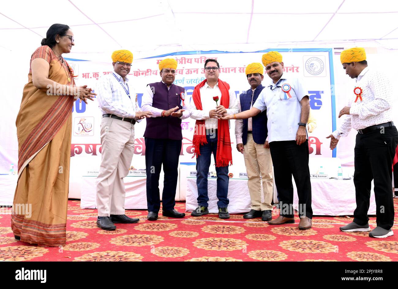 50th golden jubilee foundation hi-res stock photography and images - Alamy