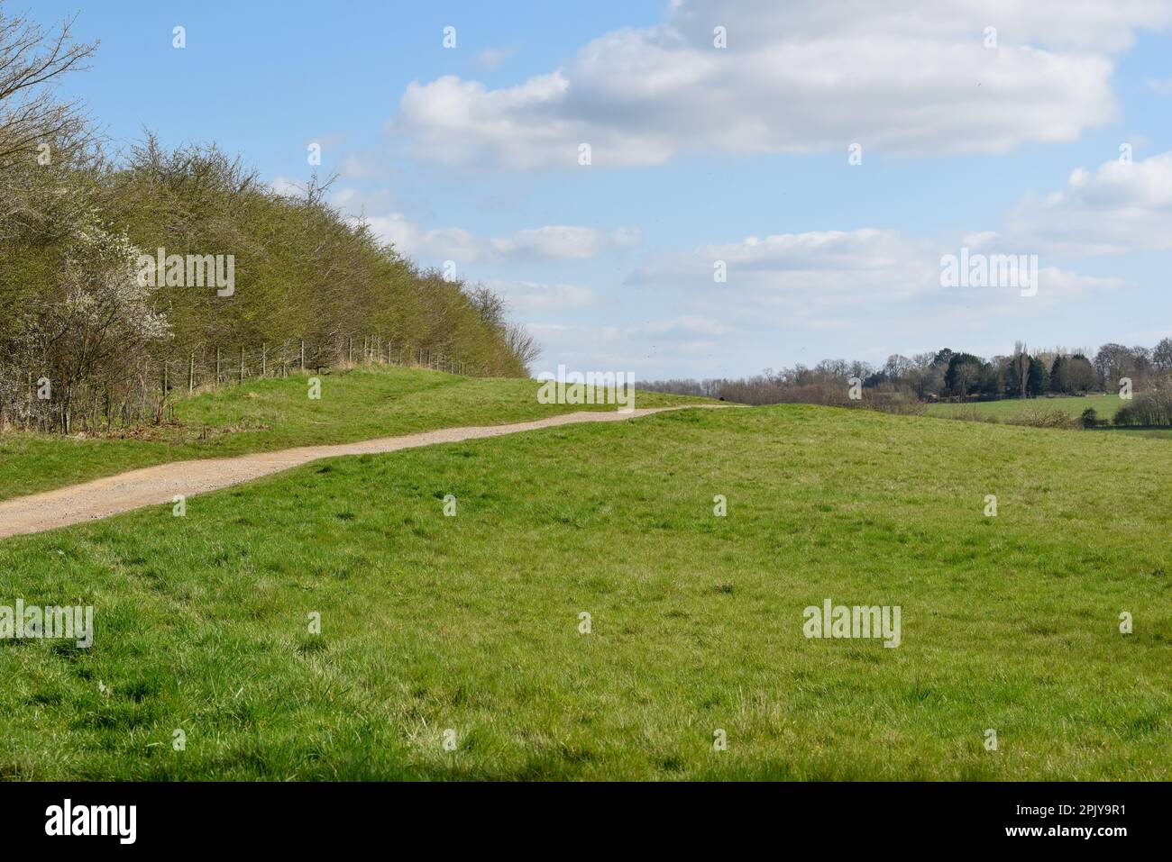 Footpath winding trough a forest walking route with a river on the ...