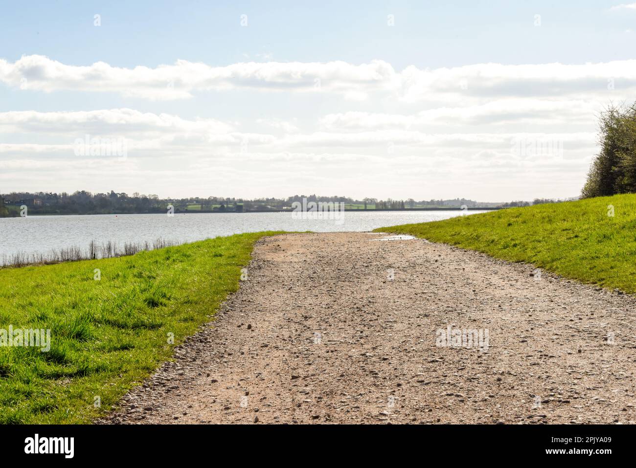 Footpath winding trough a forest walking route with a river on the ...