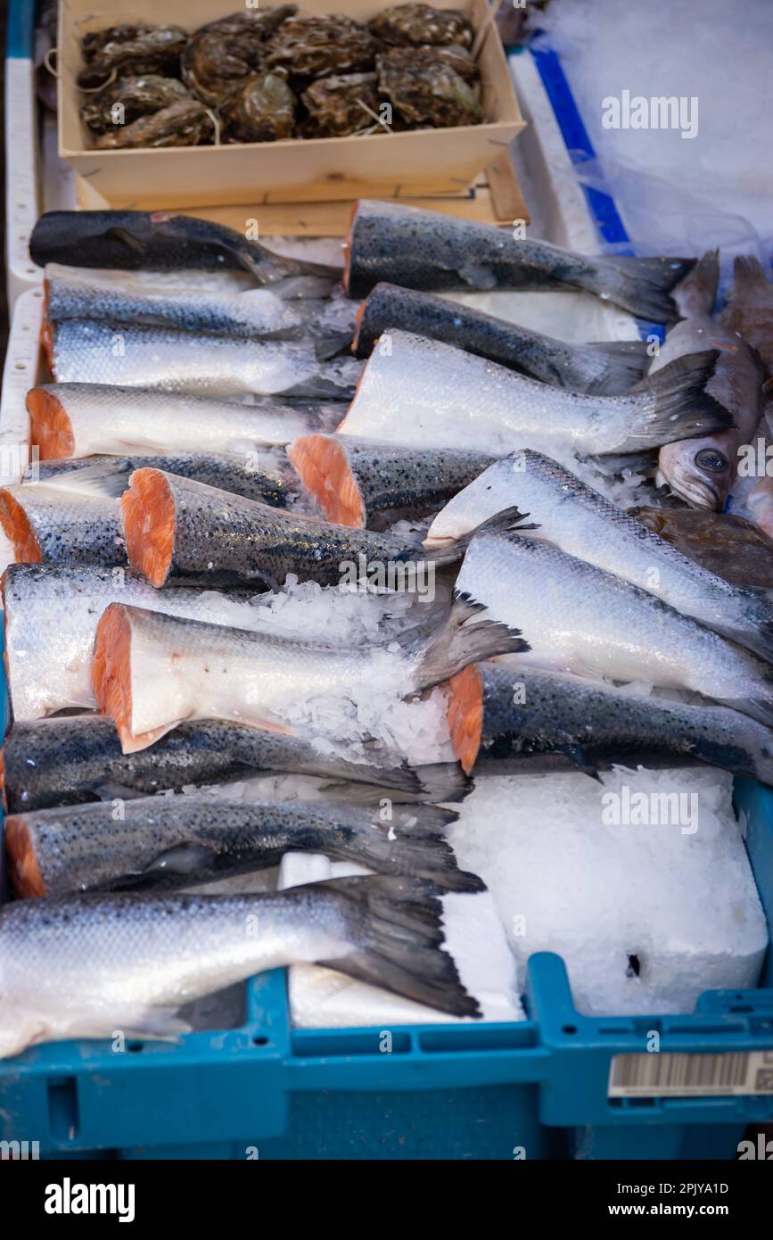 Fresh fish market on the streets of Leiden, Netherlands Stock Photo - Alamy