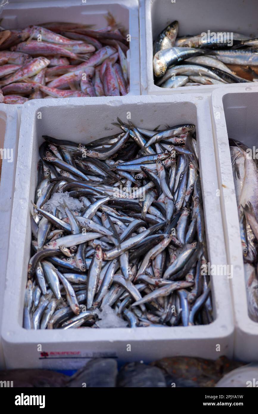 Fresh fish market on the streets of Leiden, Netherlands Stock Photo - Alamy