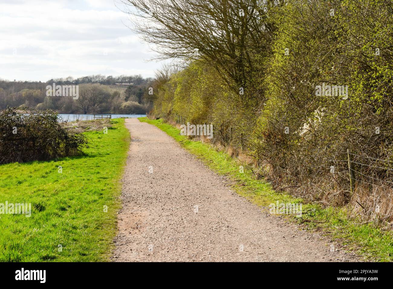 Footpath winding trough a forest walking route with a river on the ...
