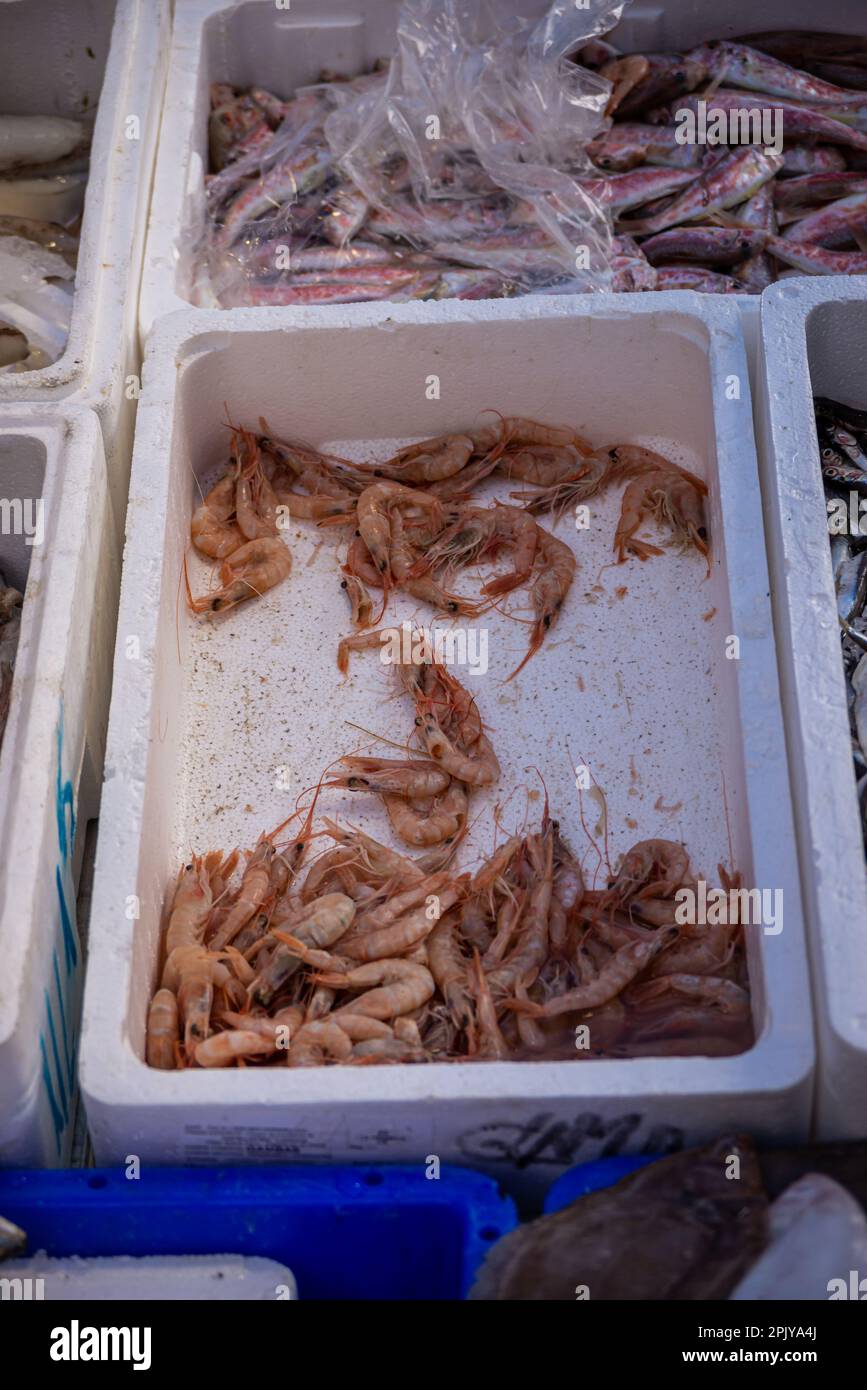 Fresh fish market on the streets of Leiden, Netherlands Stock Photo - Alamy