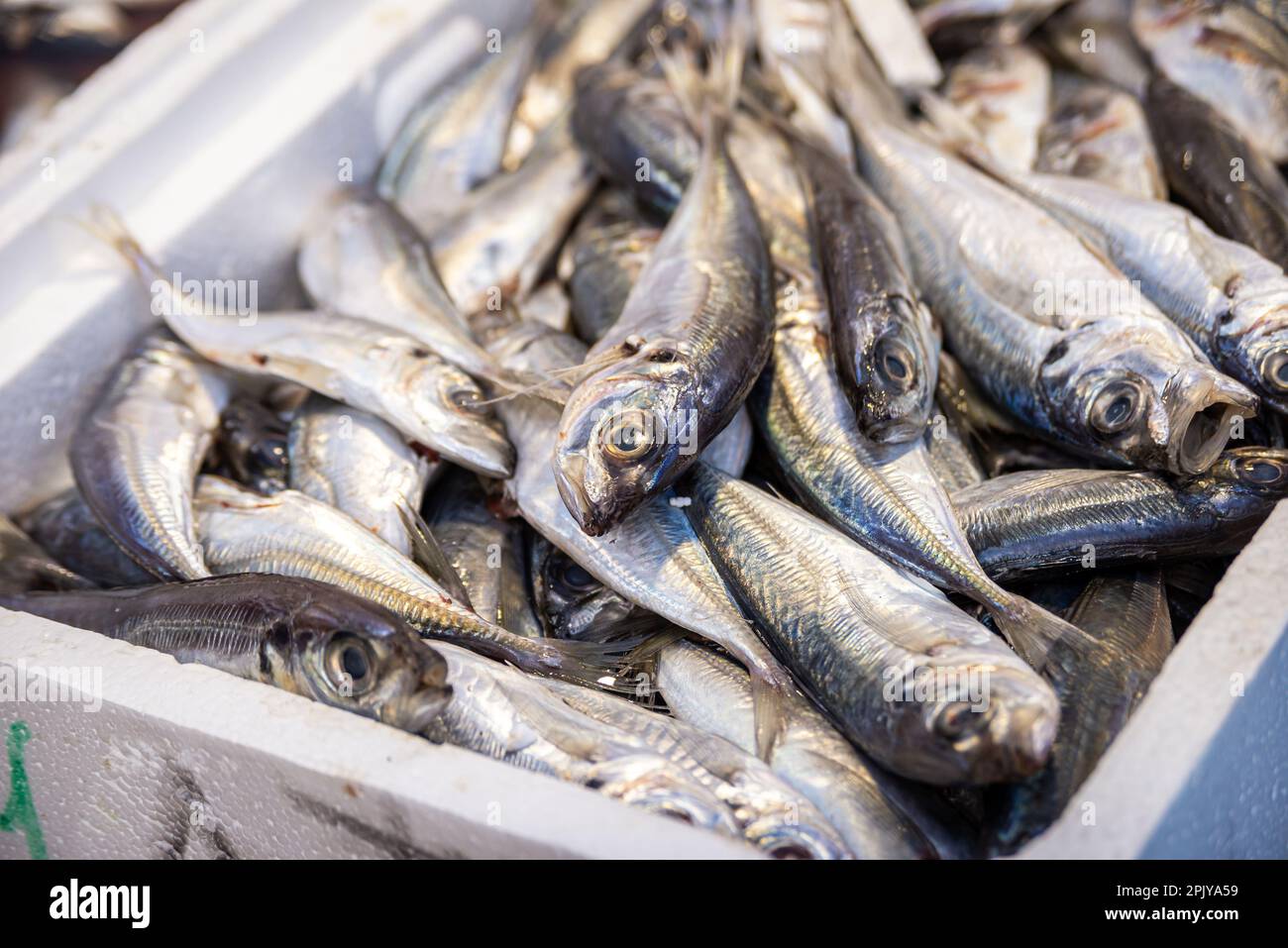Fresh fish market on the streets of Leiden, Netherlands Stock Photo - Alamy