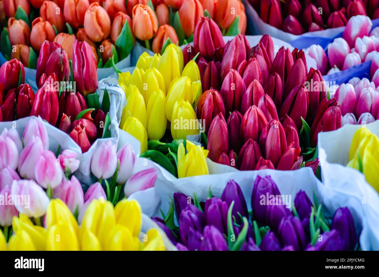 Private bouquet hi-res stock photography and images - Alamy
