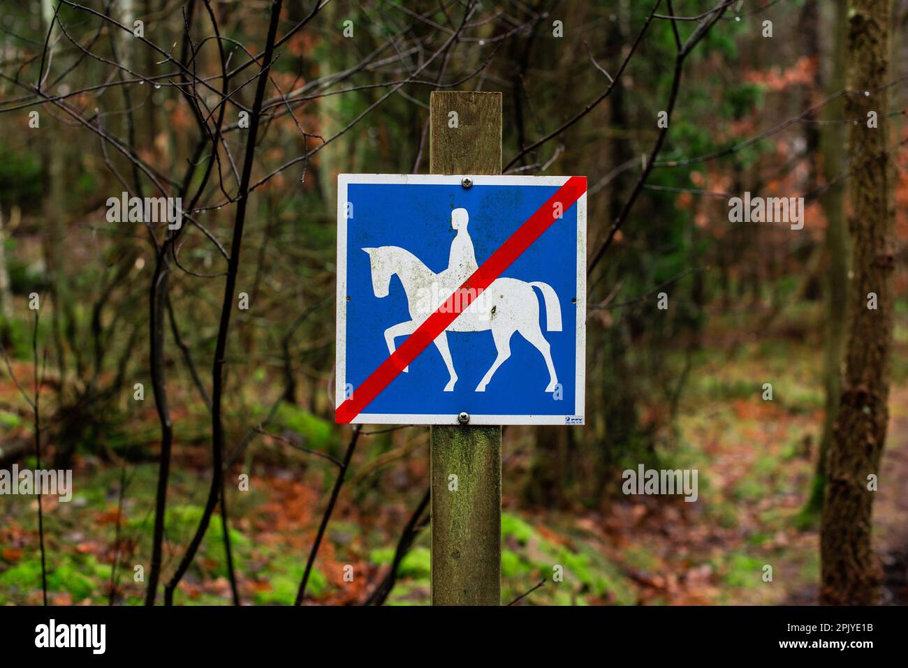 Sign marking horseback riding prohibited Stock Photo - Alamy